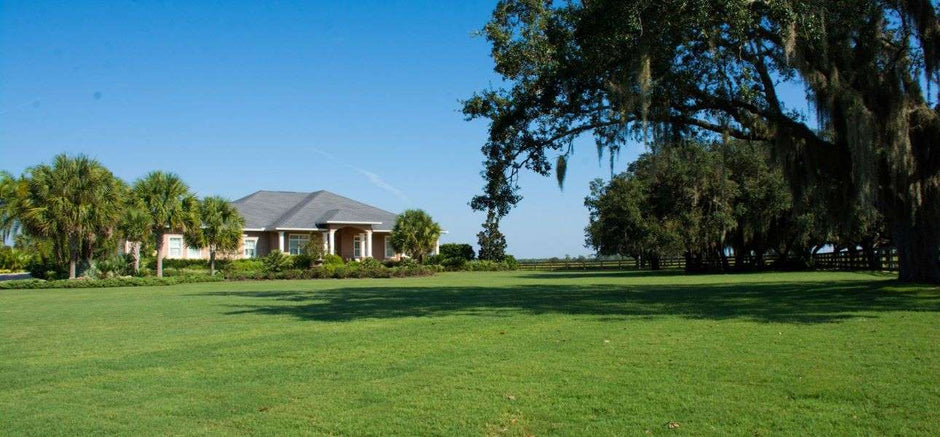 BIMINI® Bermudagrass for Lawns, Golf Courses, & Sports Fields