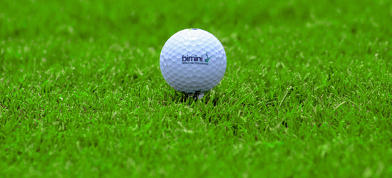 BIMINI® Bermudagrass for Lawns, Golf Courses, & Sports Fields