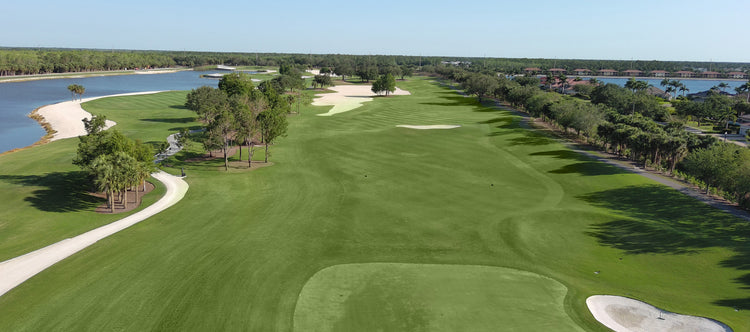 BIMINI® Bermudagrass for Lawns, Golf Courses, & Sports Fields