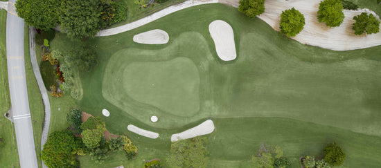 BIMINI® Bermudagrass for Lawns, Golf Courses, & Sports Fields