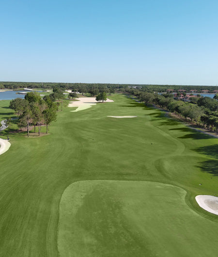 BIMINI® Bermudagrass for Lawns, Golf Courses, & Sports Fields