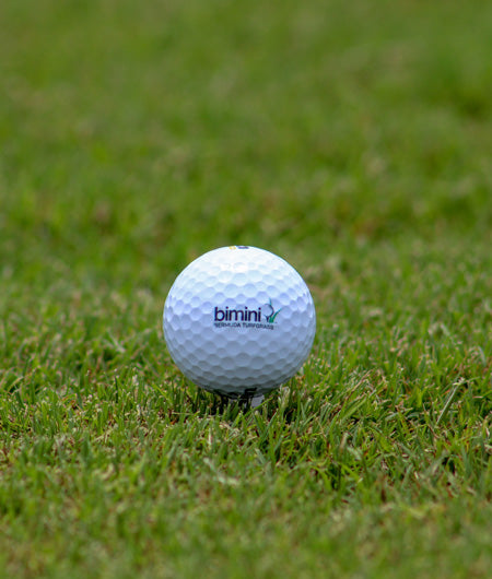 BIMINI® Bermudagrass for Lawns, Golf Courses, & Sports Fields